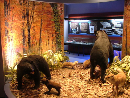 Matagi Museum・Furusato Center | STAY AKITA – Depth of Beauty